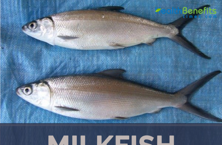 Mustard Greens, Health Benefits and Nutritional Value