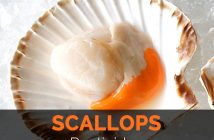 Ocean perch Facts, Health Benefits and Nutritional Value