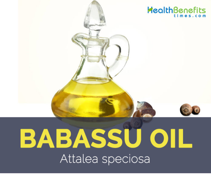 Babassu oil facts and health benefits - Health Benefits