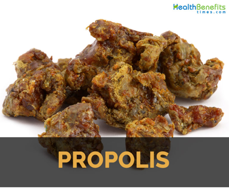 Propolis Facts and Health Benefits