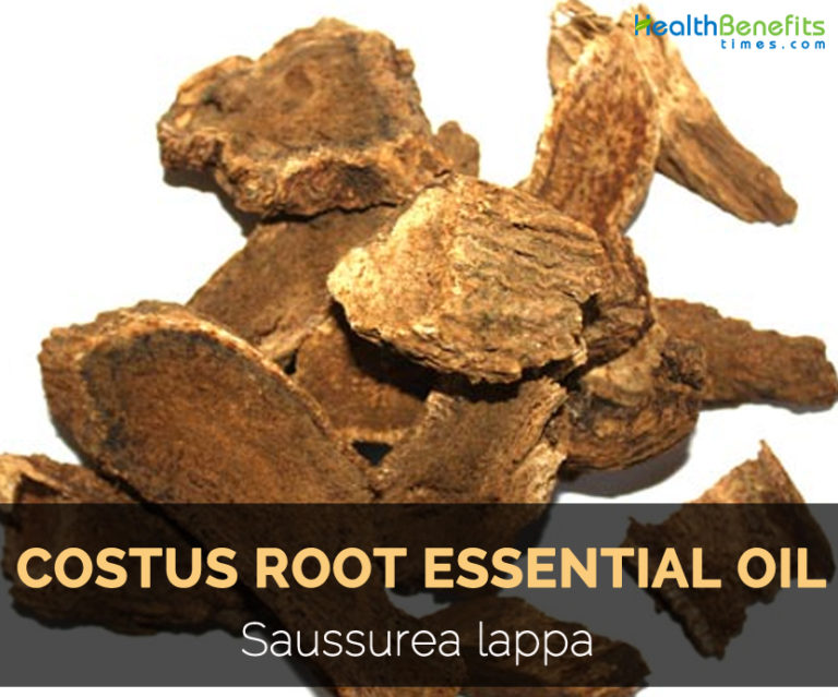 Costus root essential oil facts and health benefits - Health Benefits