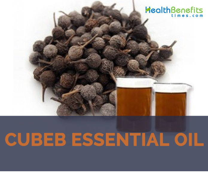 Cubeb essential oil facts and benefits - Health Benefits
