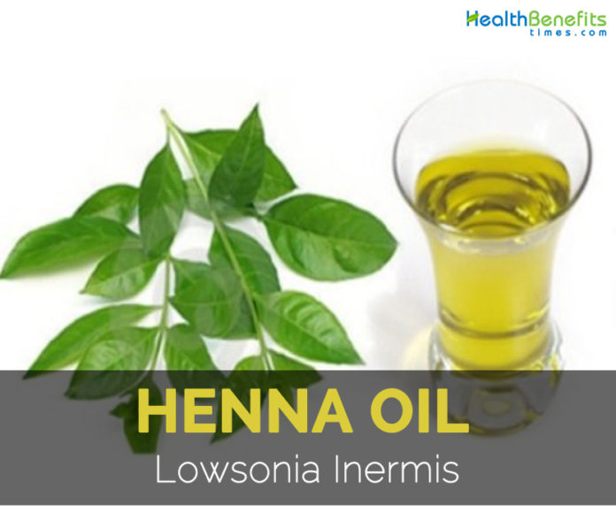 Henna oil facts and uses - Health Benefits