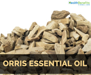 Orris essential oil facts and benefits - Health Benefits