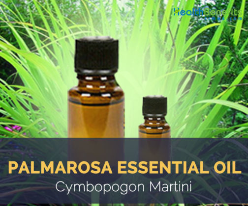 Palmarosa Essential Oil facts and benefits - Health Benefits