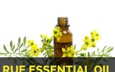 Essential OIls | Health Benefits