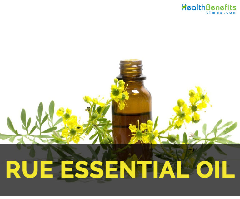 Rue essential oil facts and benefits - Health Benefits