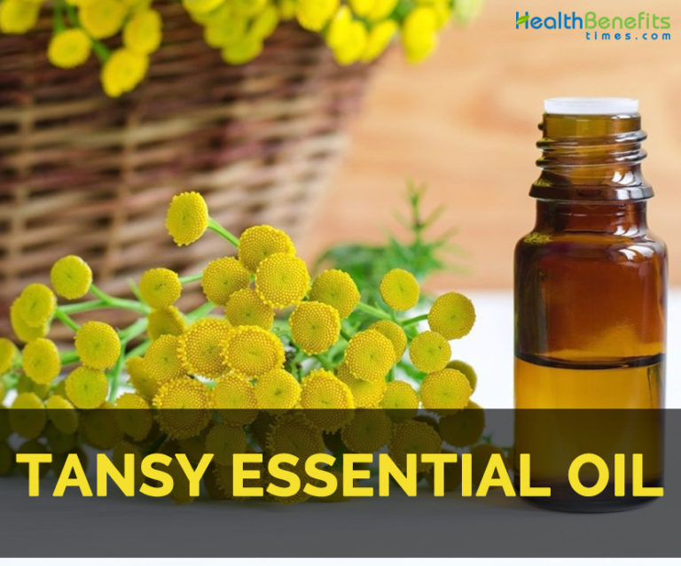 Tansy essential oil facts and benefits - Health Benefits