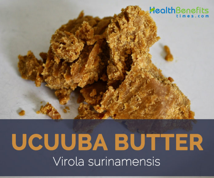 Ucuhuba butter facts and benefits - Health Benefits