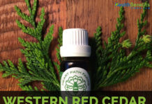 Spikenard essential oil benefits