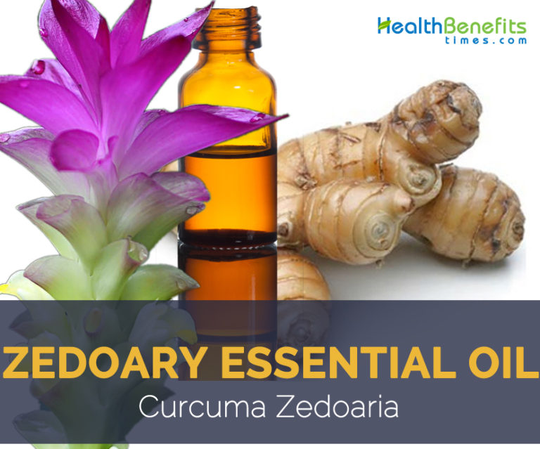 Zedoary essential oil facts and benefits - Health Benefits