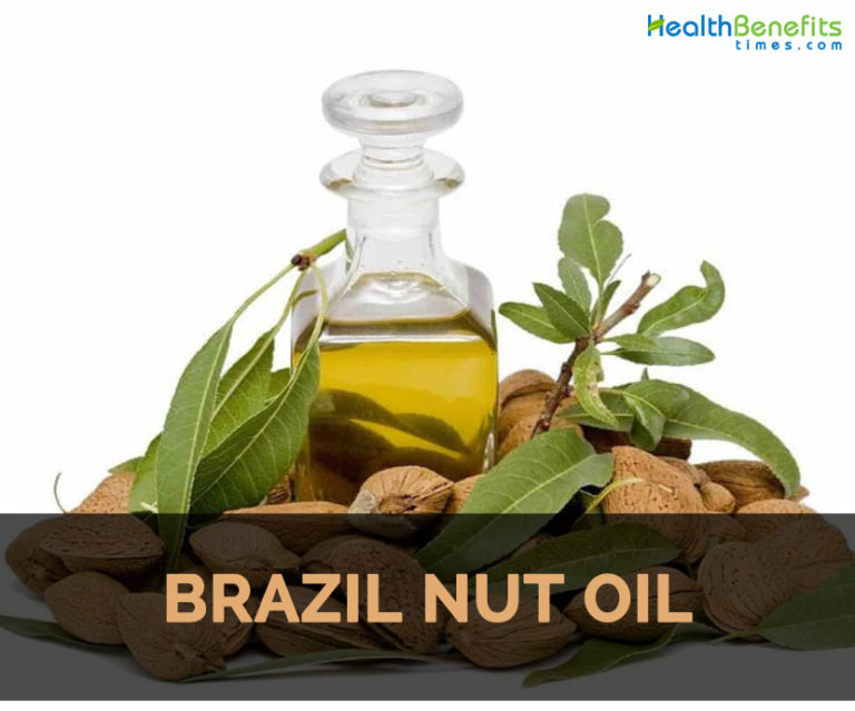 Brazil Nut Oil facts and benefits - Health Benefits