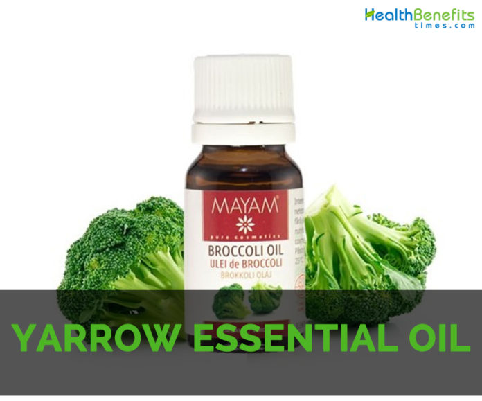 Broccoli Seed Oil facts and benefits - Health Benefits