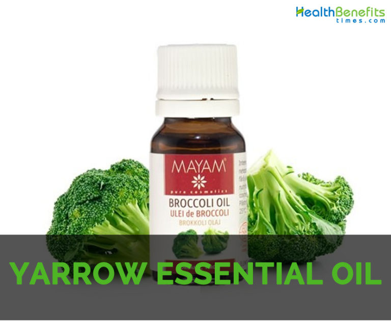 Broccoli Seed Oil facts and benefits - Health Benefits