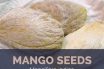 Top health benefits of Muskmelon seeds| HB times