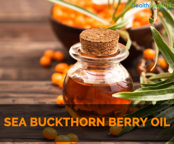 Sea buckthorn berry oil facts and uses - Health Benefits