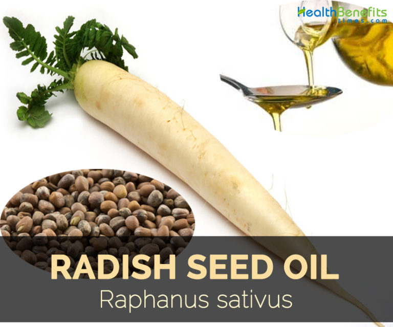Radish seed oil uses and benefits - Health Benefits