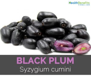 Health benefits of Black Plum (Java plum) - Health Benefits