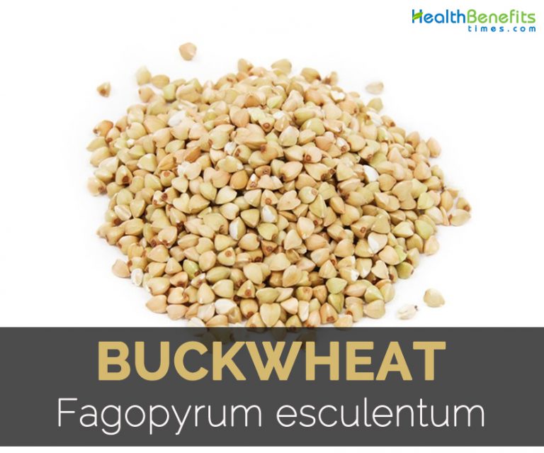 Health Benefits of Buckwheat - Health Benefits