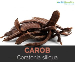 Facts and benefits of Carob - Health Benefits