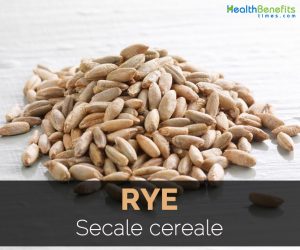 Facts and benefits of Rye - Health Benefits
