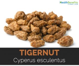 Health benefits of Tigernut - Health Benefits