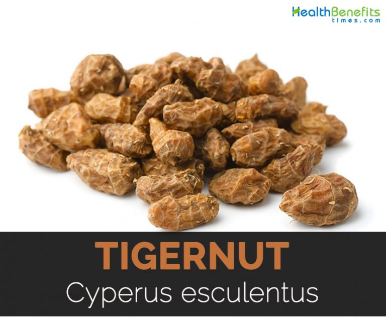 Health benefits of Tigernut - Health Benefits