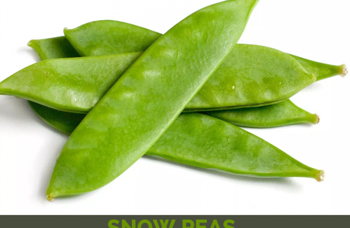 Snow Beans
