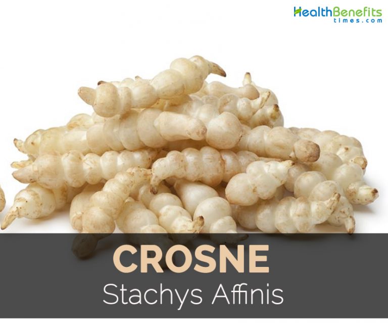 Crosne facts and benefits - Health Benefits