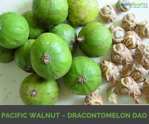 Know about Pacific Walnut - Health Benefits