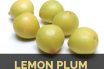 Lemon Plum Facts and Health Benefits