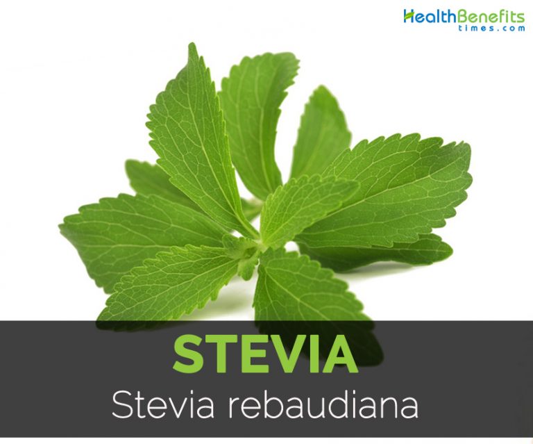 Know about Stevia - Health Benefits