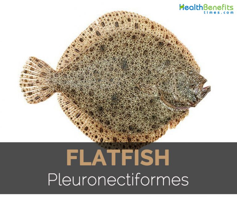 Flatfish facts and nutrition - Health Benefits