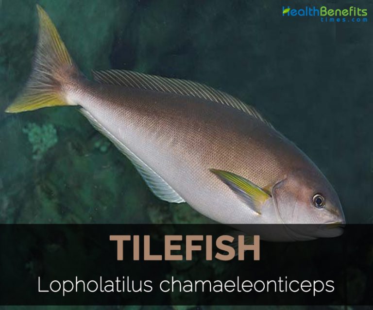 Tilefish facts and nutrition - Health Benefits