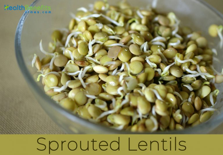 The Sprouted Lentils: recipes and nutritional value - Health Benefits