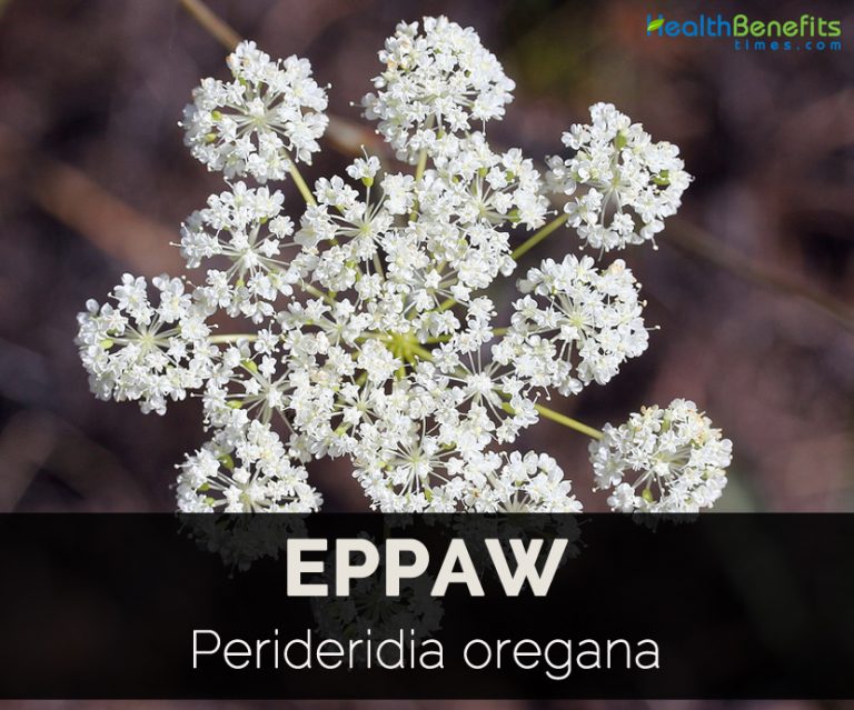 Eppaw Nutrition and facts - Health Benefits