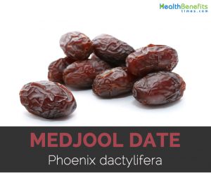 Medjool date benefits and nutrition - Health Benefits