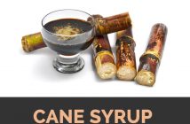 Chrysanthemum facts and health benefits