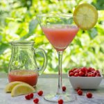 Facts about Goumi Berry - Health Benefits