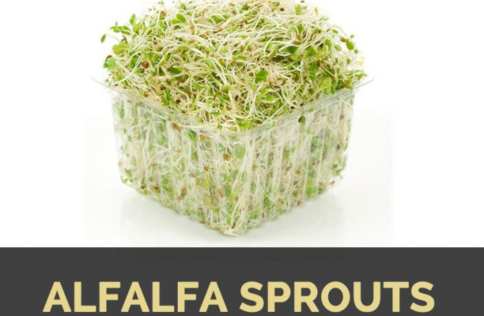 Alpha Alpha Seeds Benefits - Garigos