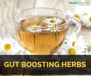 Herbs for better digestive system - Health Benefits