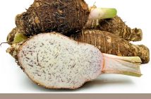 Ivy gourd Facts, Health Benefits and Nutritional Value