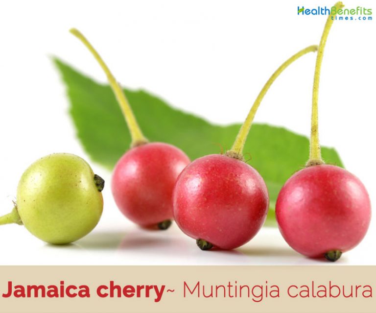 Health benefits of Jamaica Cherry - Health Benefits