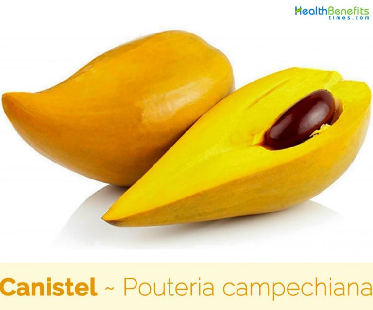 Health benefits of Canistel - Health Benefits