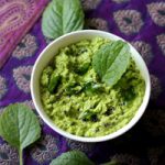 Health benefits of Indian Borage - Health Benefits