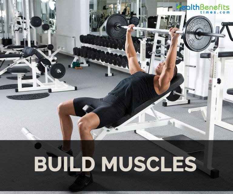 Three fitness phases for building muscles - Health Benefits
