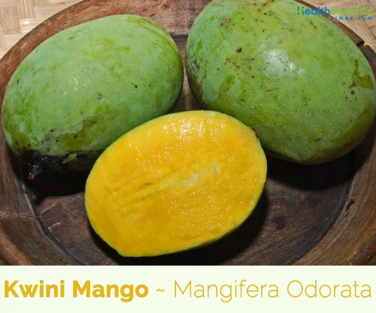 Facts about Kwini Mango - Health Benefits