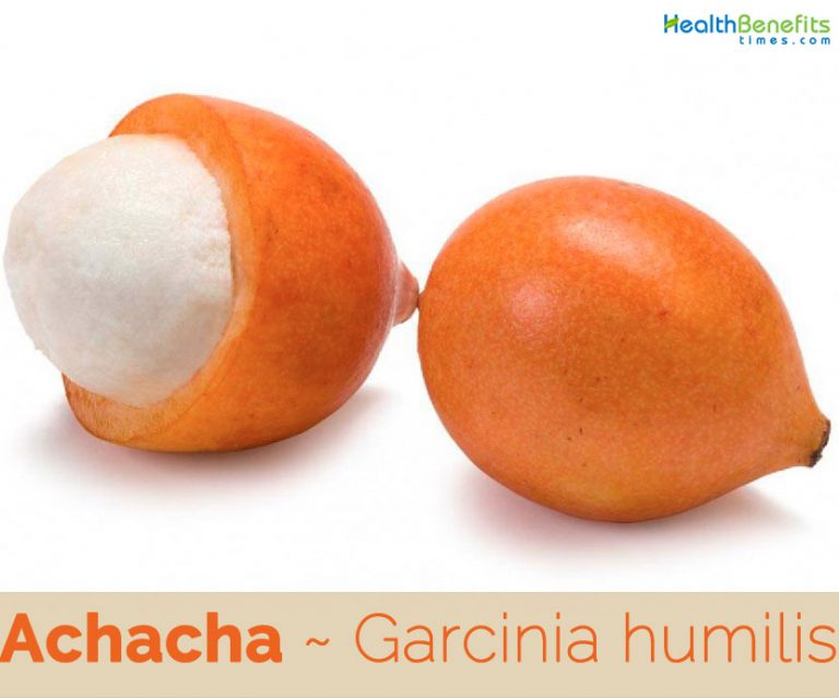 Health benefits of Achacha - Health Benefits