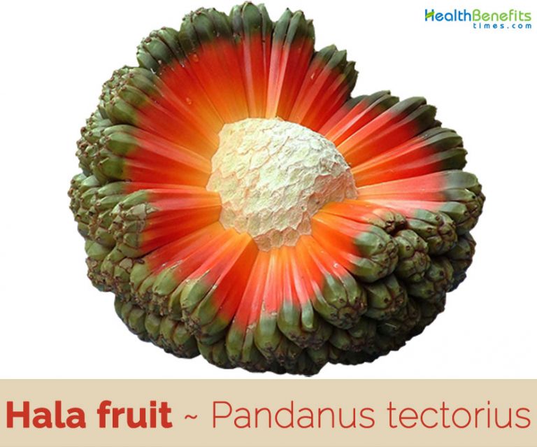 Health benefits of Hala Fruit - Health Benefits