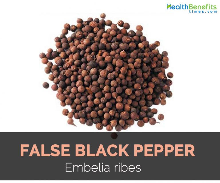Health Benefits of False Black Pepper (Embelia ribes) - Health Benefits